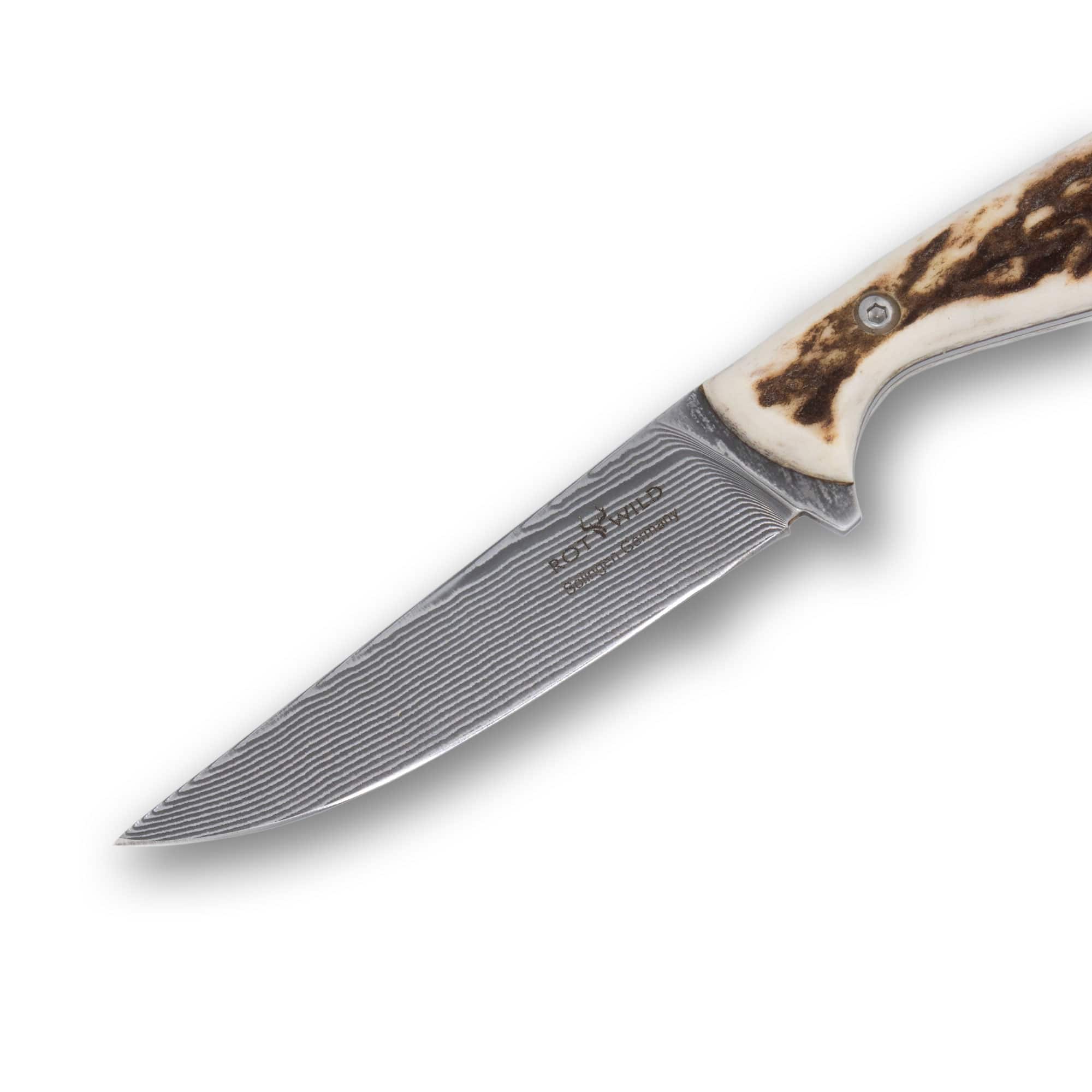 Hunting knife "Merlin" stabilised poplar | RWF_05_D_15
